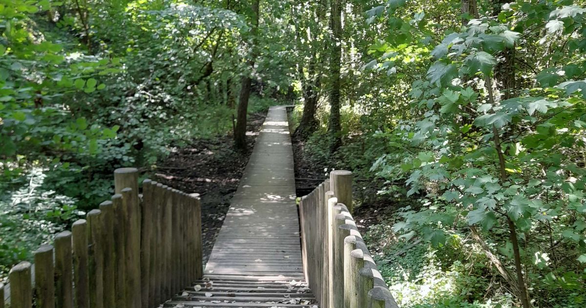 Le sentier du ruisseau de Rochecardon